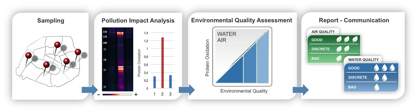 OxiProteomics - Ecotoxicity Environmental Impact: An innovative ...